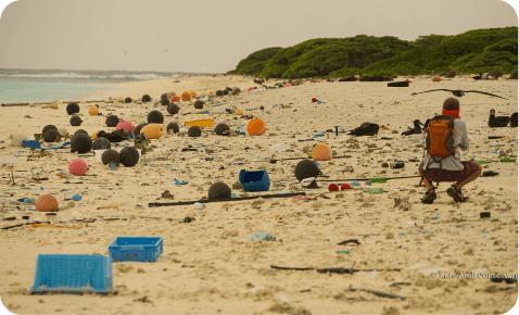 Kure Atoll | Oikonos