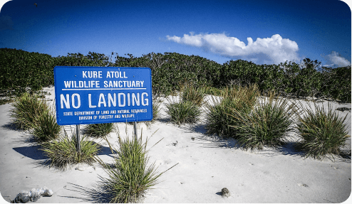 Kure Atoll | Oikonos